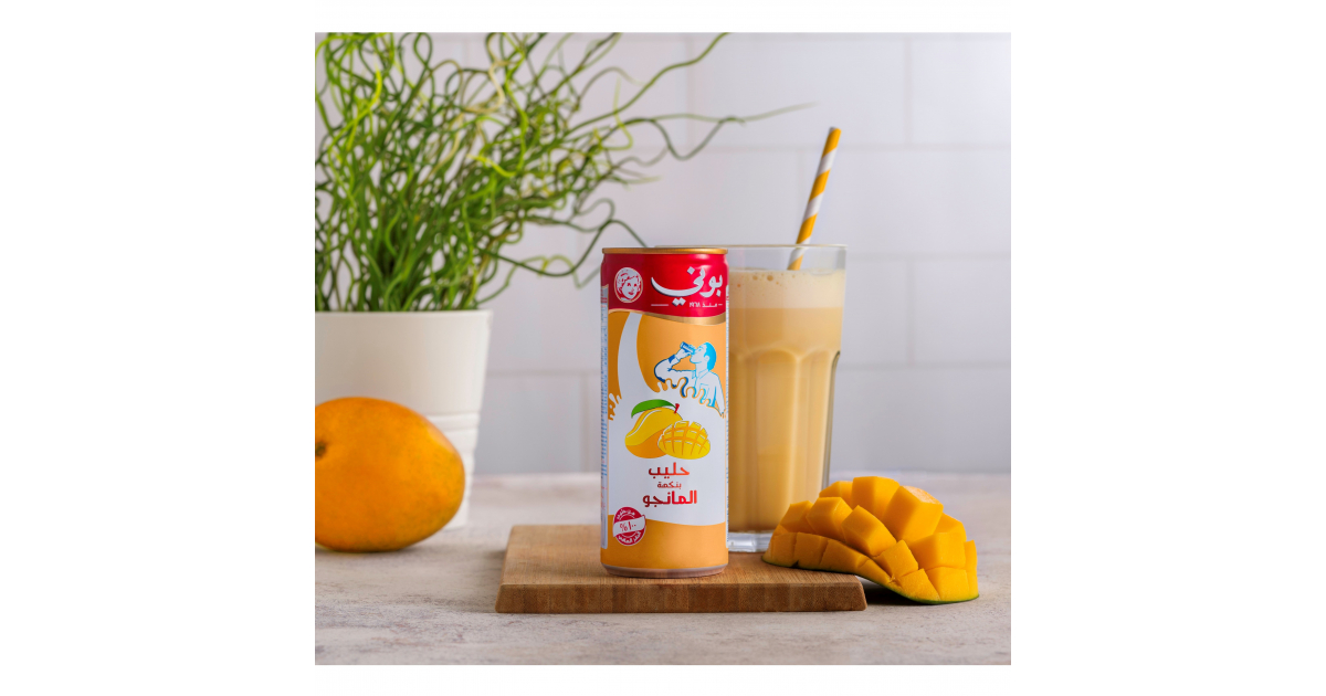 Bonny | Mango Flavoured Milk - 250 ML | Finstan Inc.